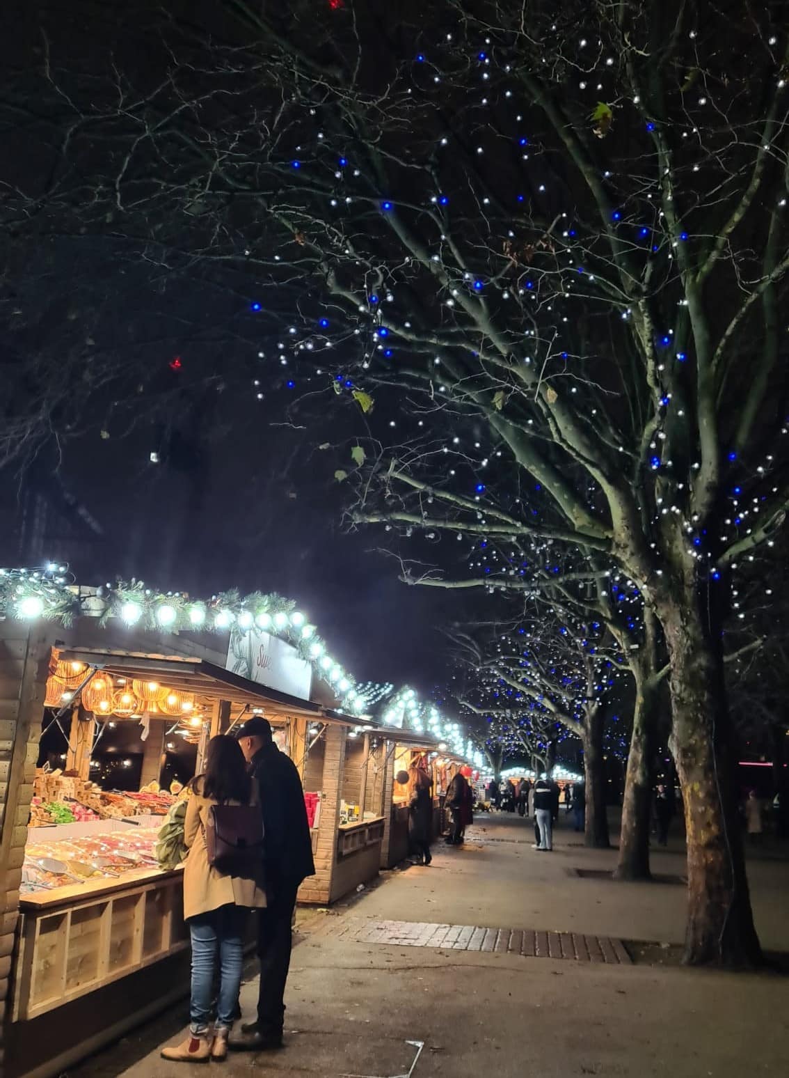 Christmas markets in The Netherlands 2025 - Flying Pig